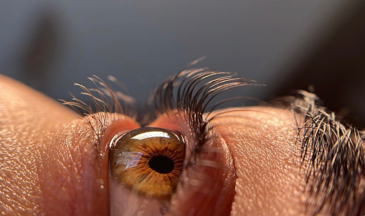 Lash Lift and Dye - Latari Bakri Beauty and Cosmetic Clinic – LATARI ...
